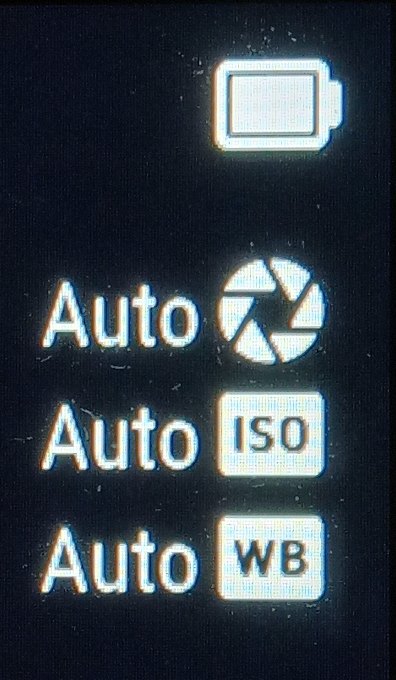 Insta360 X4 Basic Setup – CupixVista